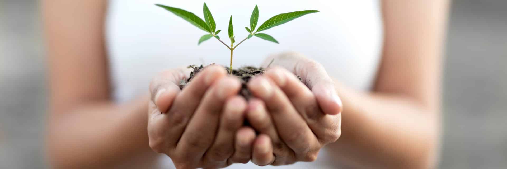 How to Grow Customer Service at Your Startup